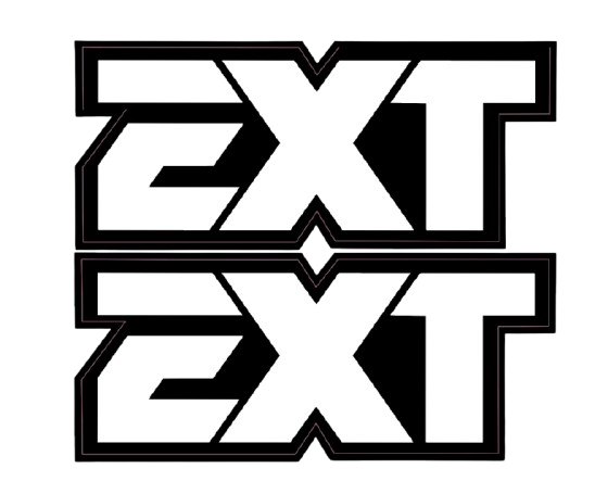 EXT Fork Decal – LX Customs